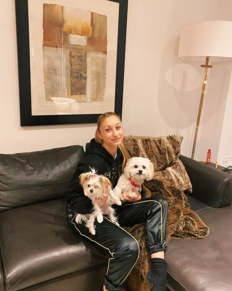 Briar Nolet Age, Wiki, Family, Education, Boyfriend, Affairs